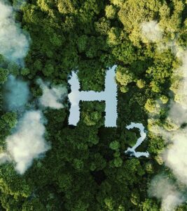 Projects – Madoqua